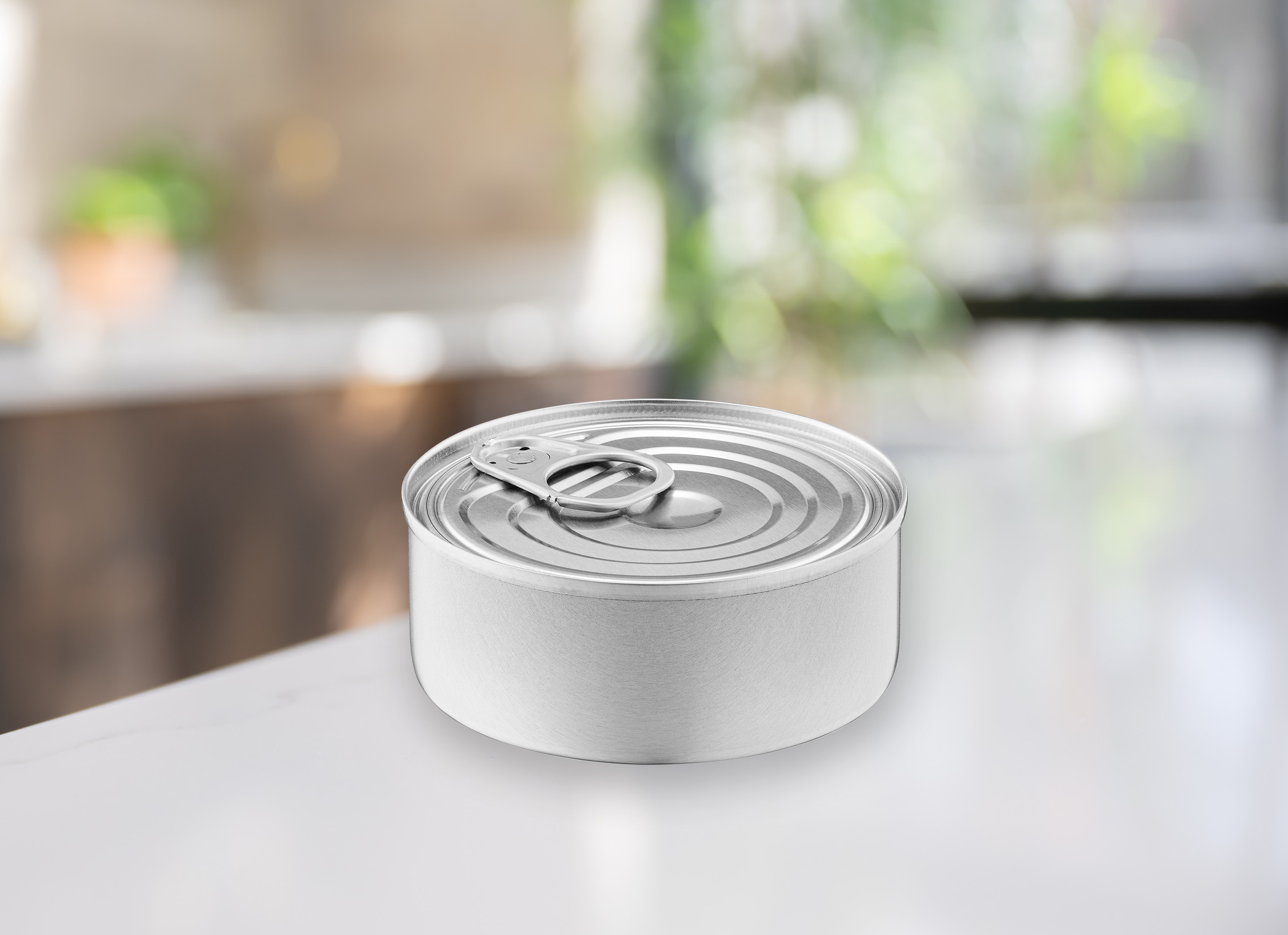 Trivium Packaging | Two Piece Cans - Food Metal Cans